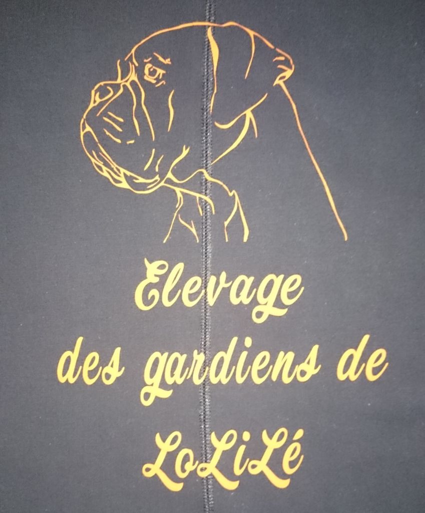 Accueil - Elevage Des Gardiens De Lolile - eleveur de chiens Boxer